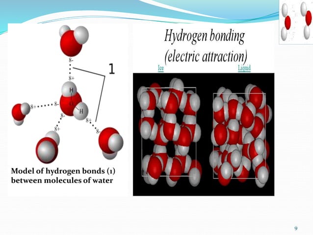 hydrogen bond 2 by KK Sahu sir | PPT