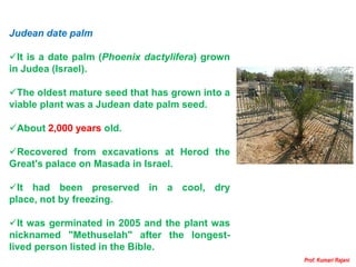 Classification of seeds | PDF