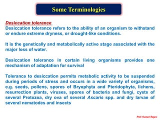 Classification of seeds | PDF