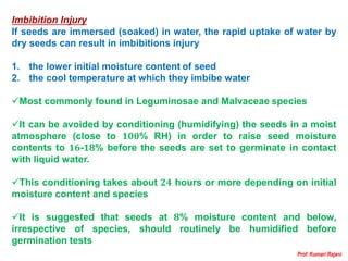Classification of seeds | PDF