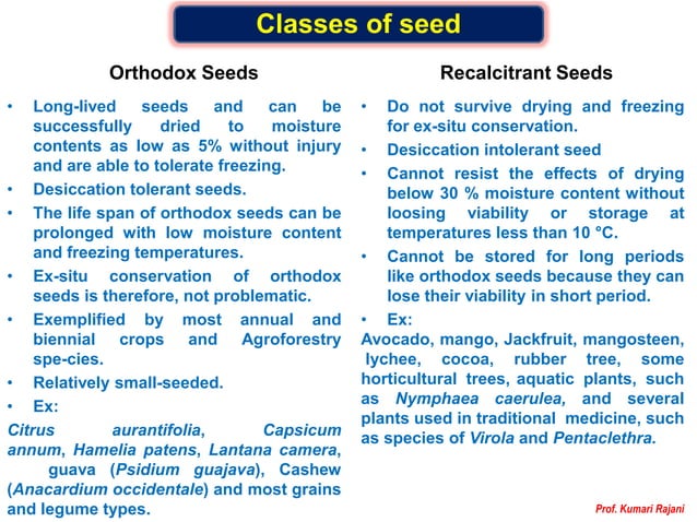 Classification of seeds | PDF