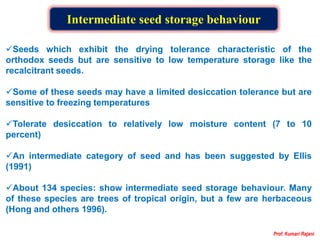 Classification of seeds | PDF