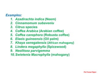 Classification of seeds | PDF