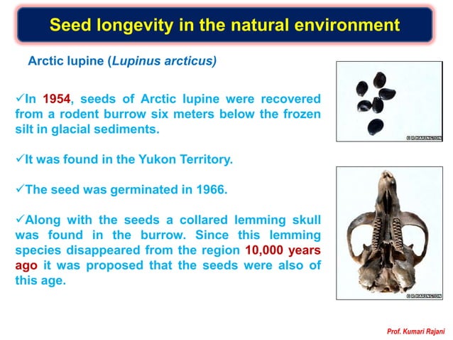 Classification of seeds | PDF