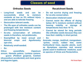 Classification of seeds | PPT