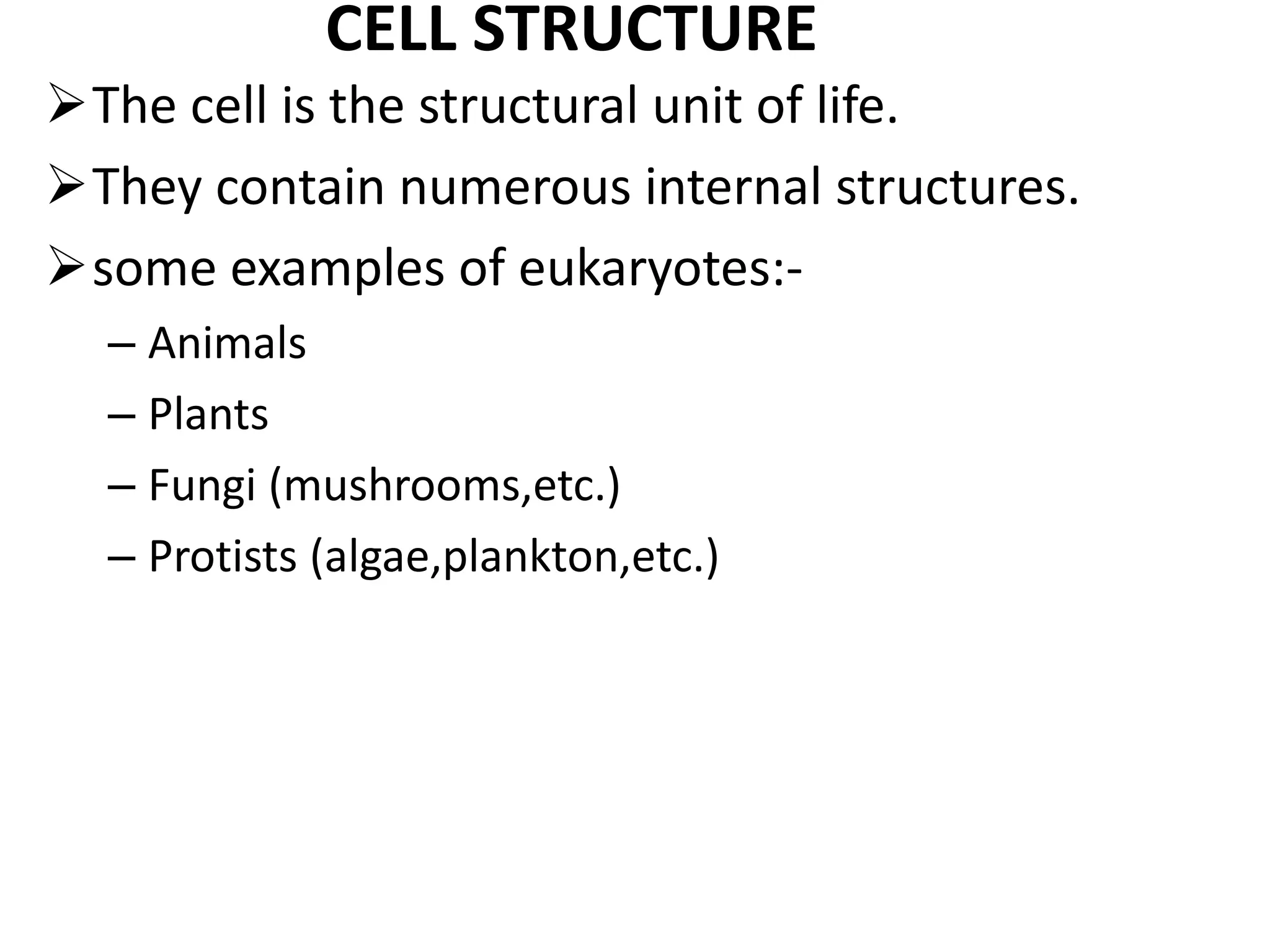 Eukaryotic cell By KK Sahu Sir | PPTX