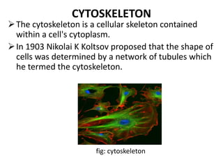 Eukaryotic cell By KK Sahu Sir | PPTX