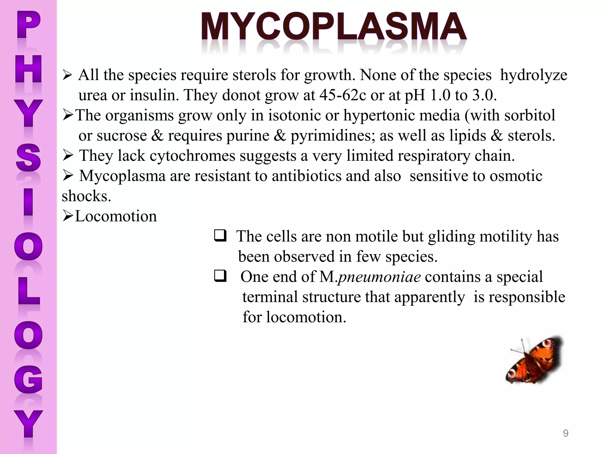 mycoplasma By KK Sahu Sir | PPTX