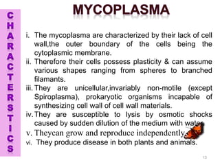 mycoplasma By KK Sahu Sir | PPTX