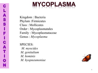 mycoplasma By KK Sahu Sir | PPTX
