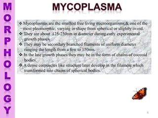 mycoplasma By KK Sahu Sir | PPTX