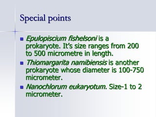Structure of prokariyotic and eukariyotic cells By KK Sahu Sir | PPT