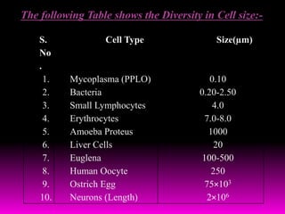 Diversity of cell size & shape By KK Sahu Sir | PPT