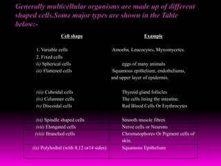 Diversity of cell size & shape By KK Sahu Sir | PPT