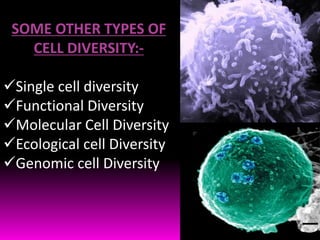 Diversity of cell size & shape By KK Sahu Sir | PPT