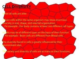 Diversity of cell size & shape By KK Sahu Sir | PPT