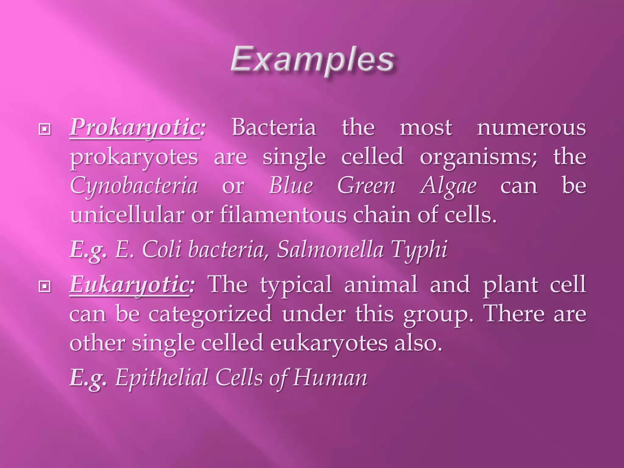 Molecular different between Prokaryotic and eukaryotic cell By KK Sahu ...