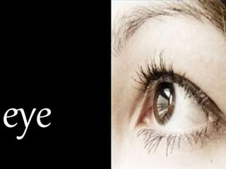 EYE | PPT
