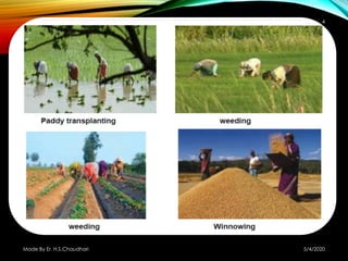 1. farm power in india - By Prof. Hema Gavit. | PDF