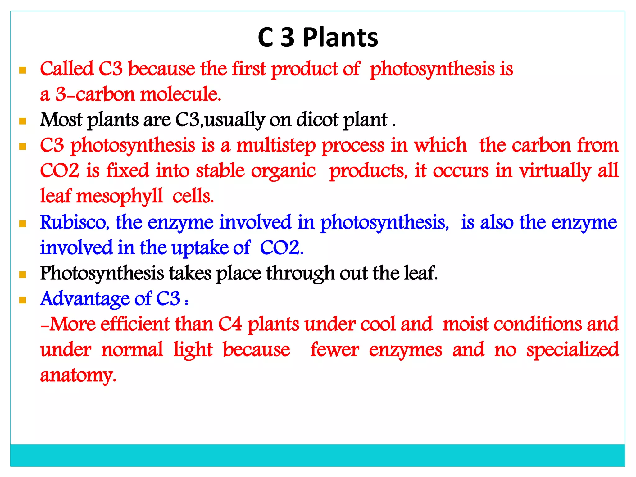 1. C3,C4,and CAM Plants | PPTX