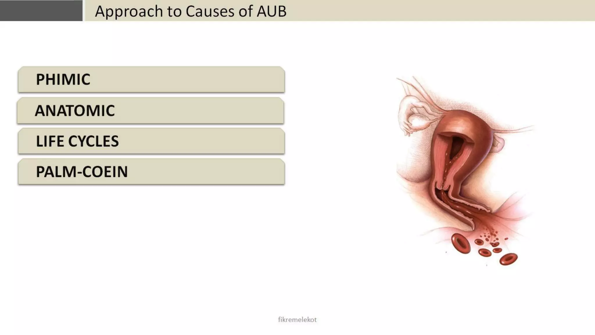 Abnormal uterine bleeding (AUB) | PDF