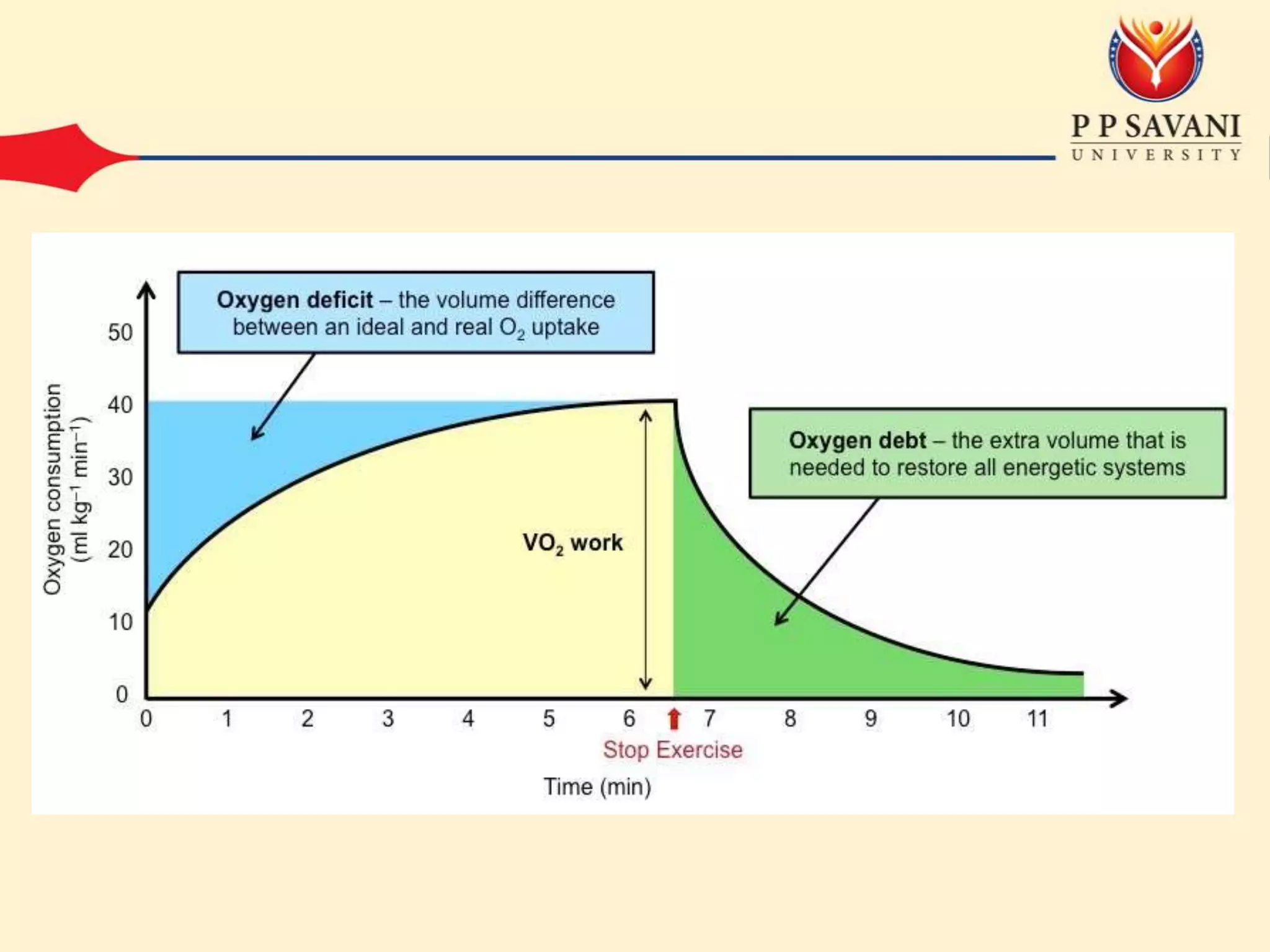 1. Effect of exercise on Body systems | PPTX