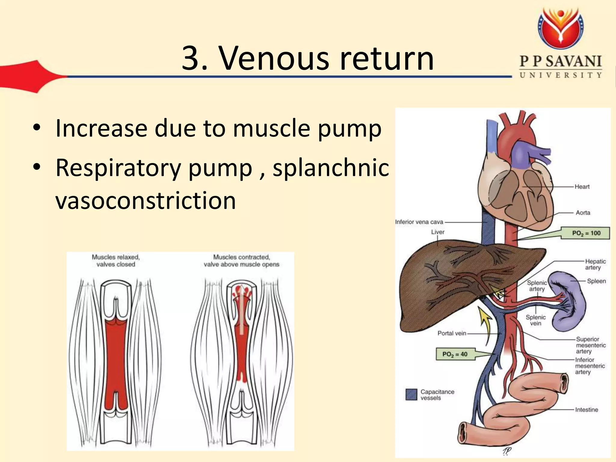 1. Effect of exercise on Body systems | PPTX