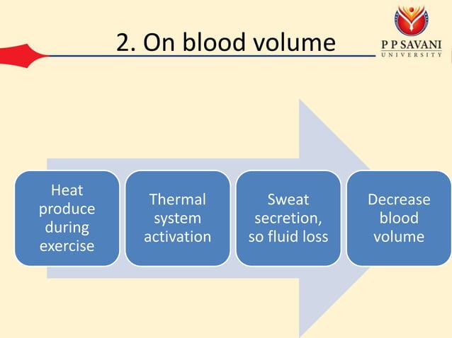 1. Effect of exercise on Body systems | PPTX | Lung and Respiratory ...