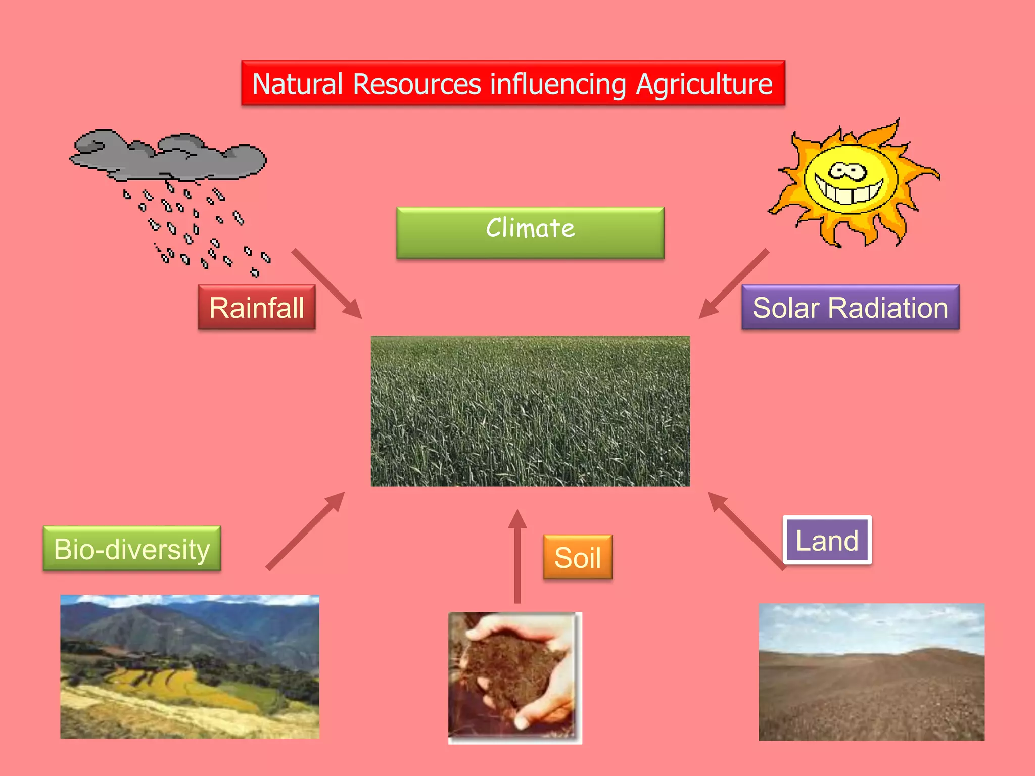 CROP PRODUCTION AND FACTORS AFFECTING IT | PDF