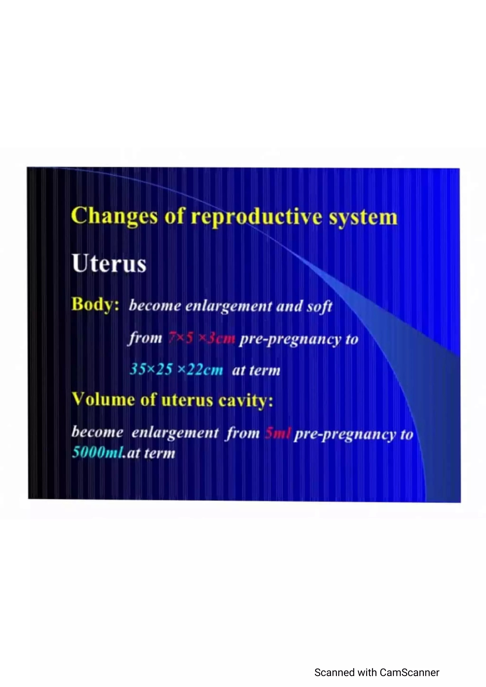 Physiology Of Pregnancy | PDF