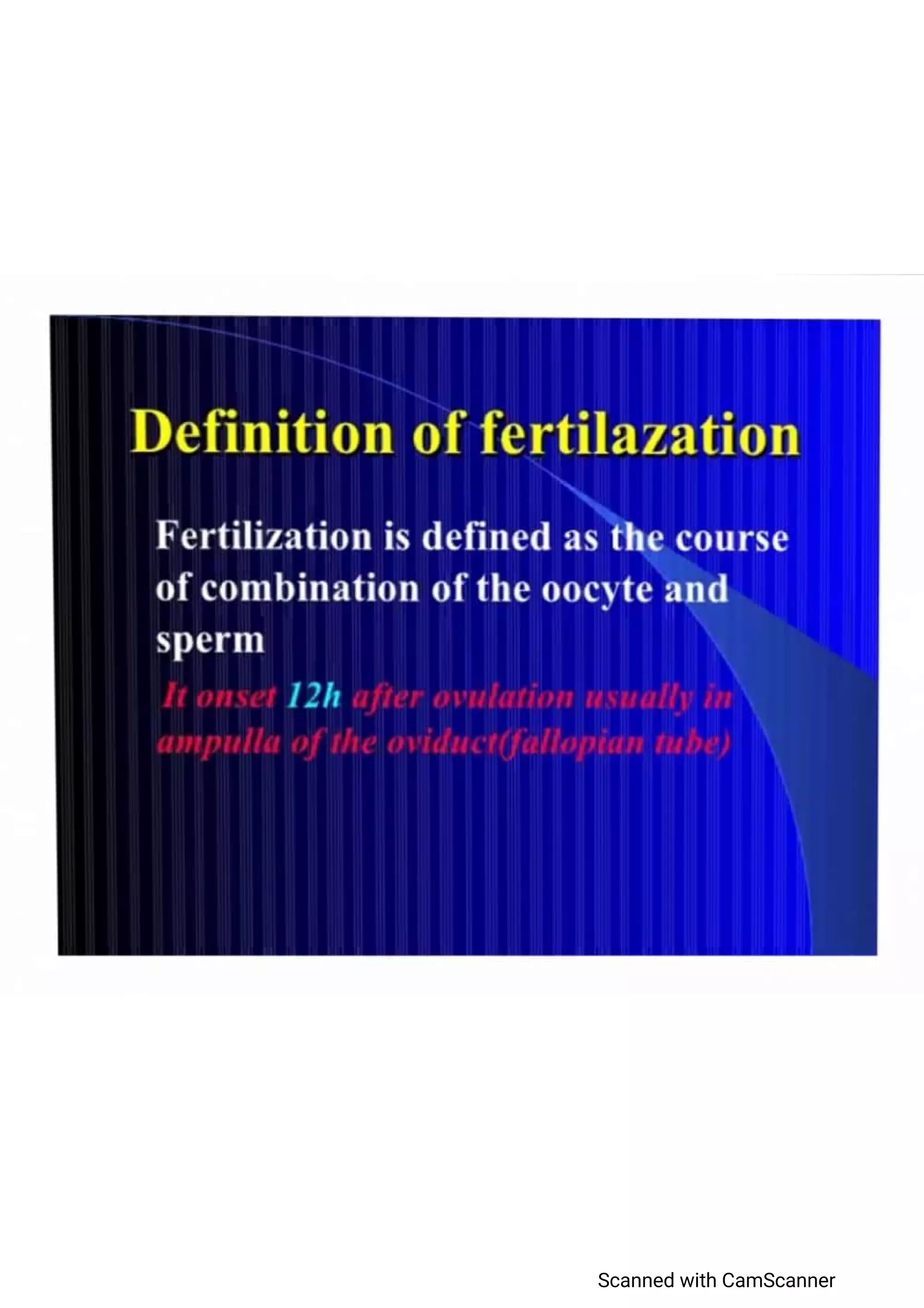 Physiology Of Pregnancy | PDF