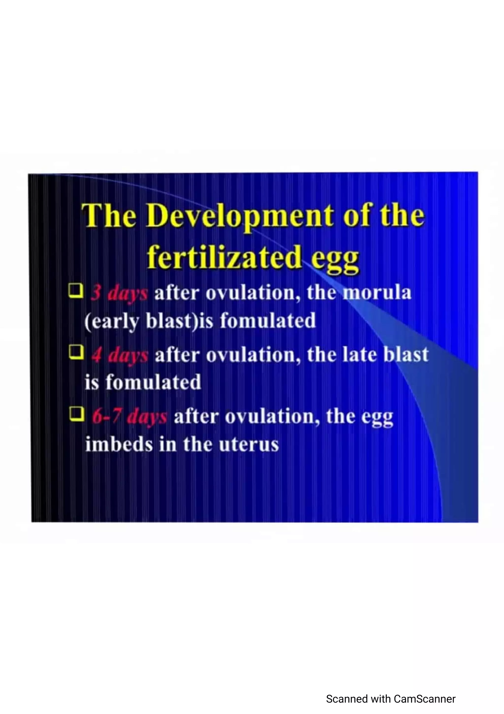 Physiology Of Pregnancy | PDF