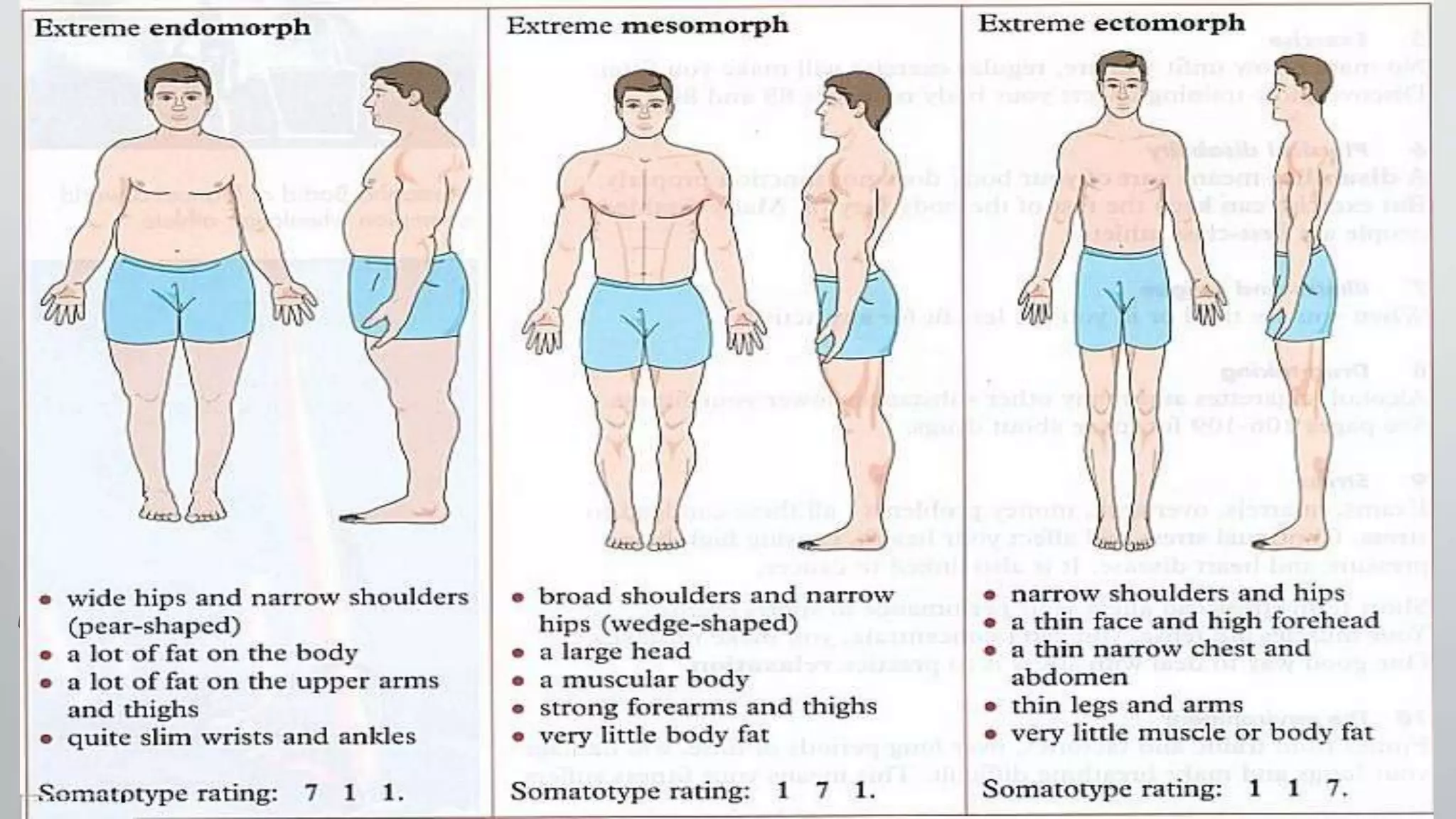 Body composition (Somatotyping) | PPTX