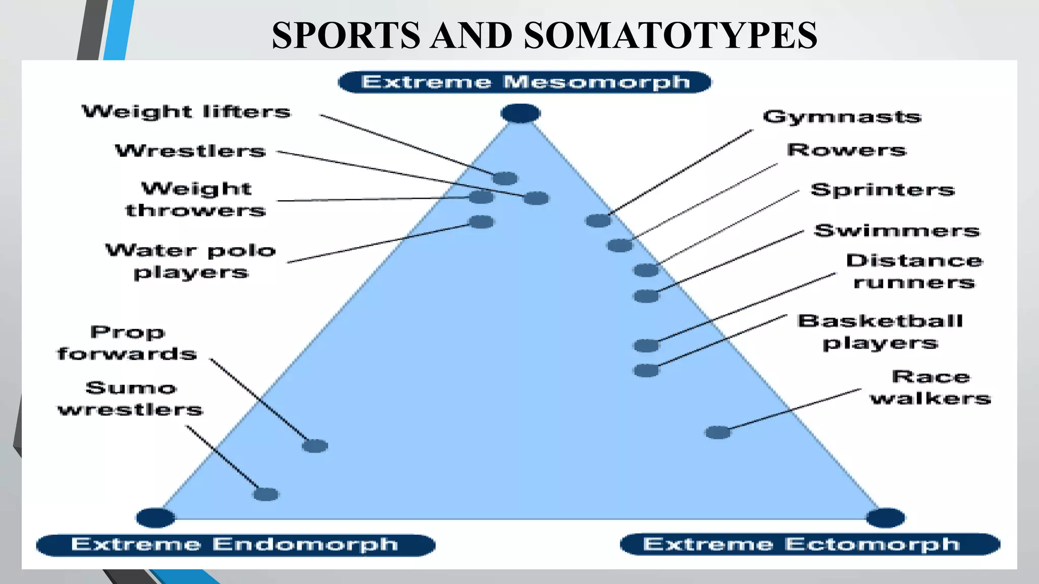 Body composition (Somatotyping) | PPTX