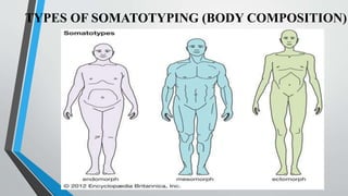 Body composition (Somatotyping) | PPTX