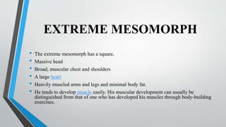 Body composition (Somatotyping) | PPTX