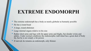 Body composition (Somatotyping) | PPTX