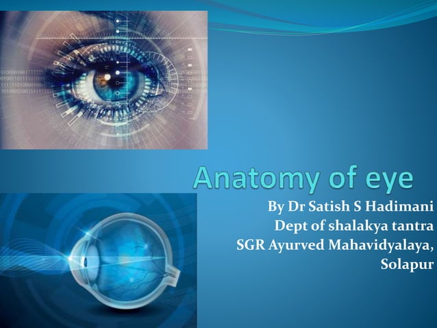 Eye general anatomy | PPT