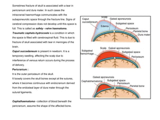 Scalp | PPTX