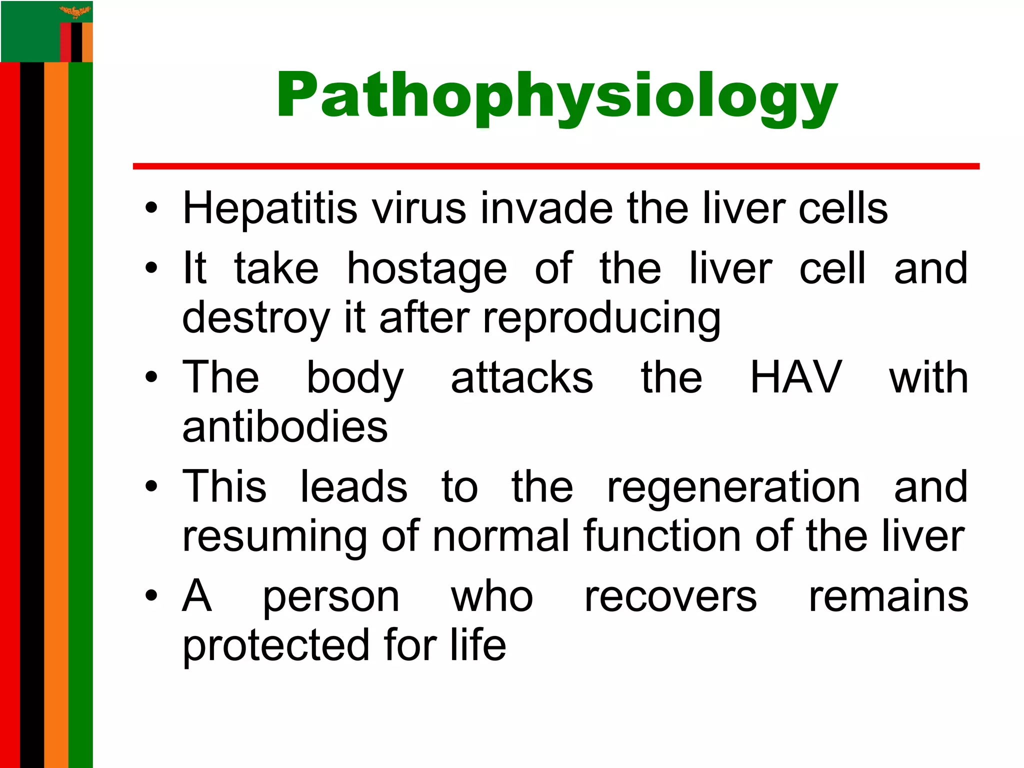 Viral hepatitis Mr Mulundano | PPTX | Digestive Disorders | Diseases and Conditions