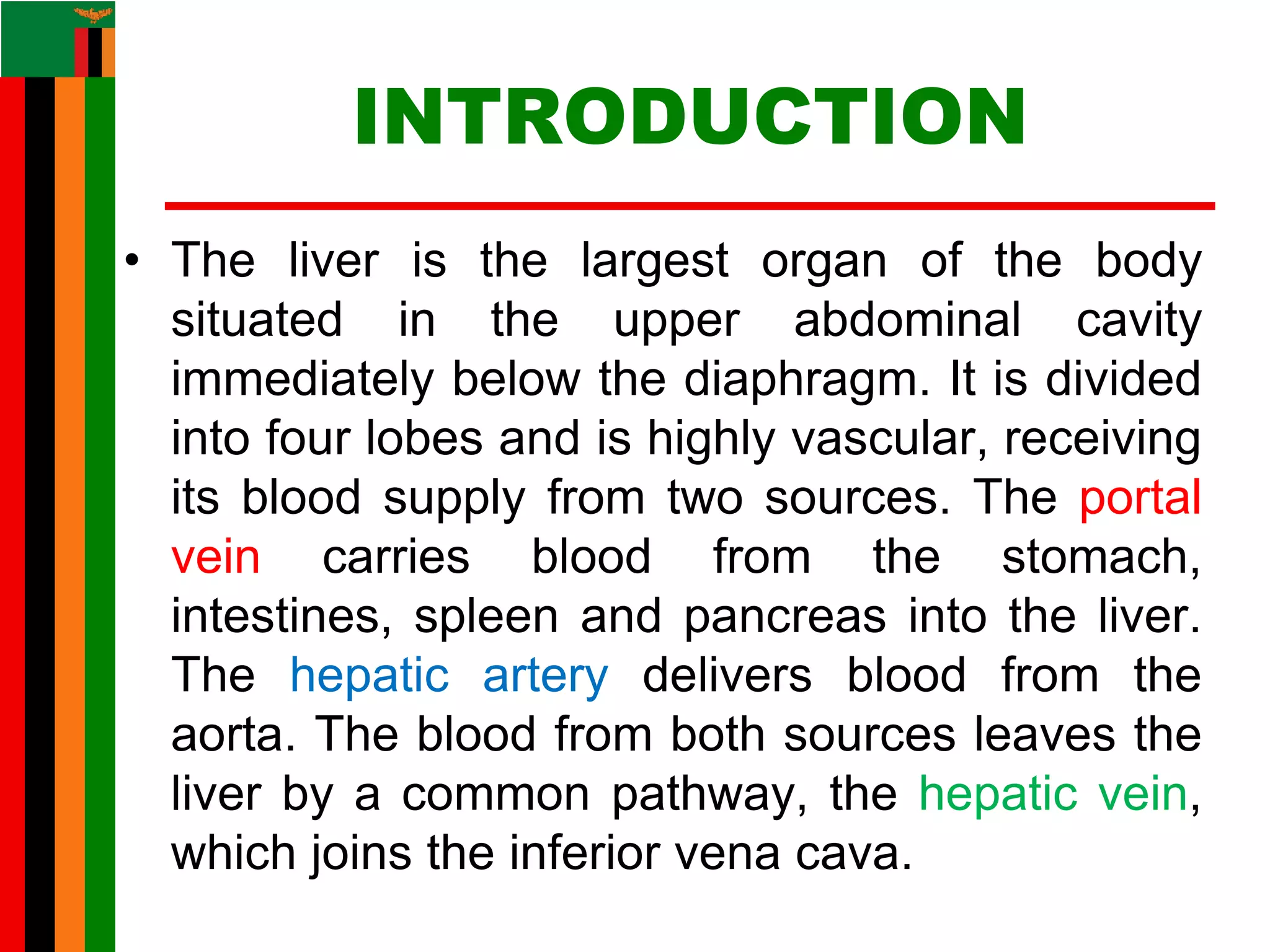 Viral hepatitis Mr Mulundano | PPTX | Digestive Disorders | Diseases and Conditions