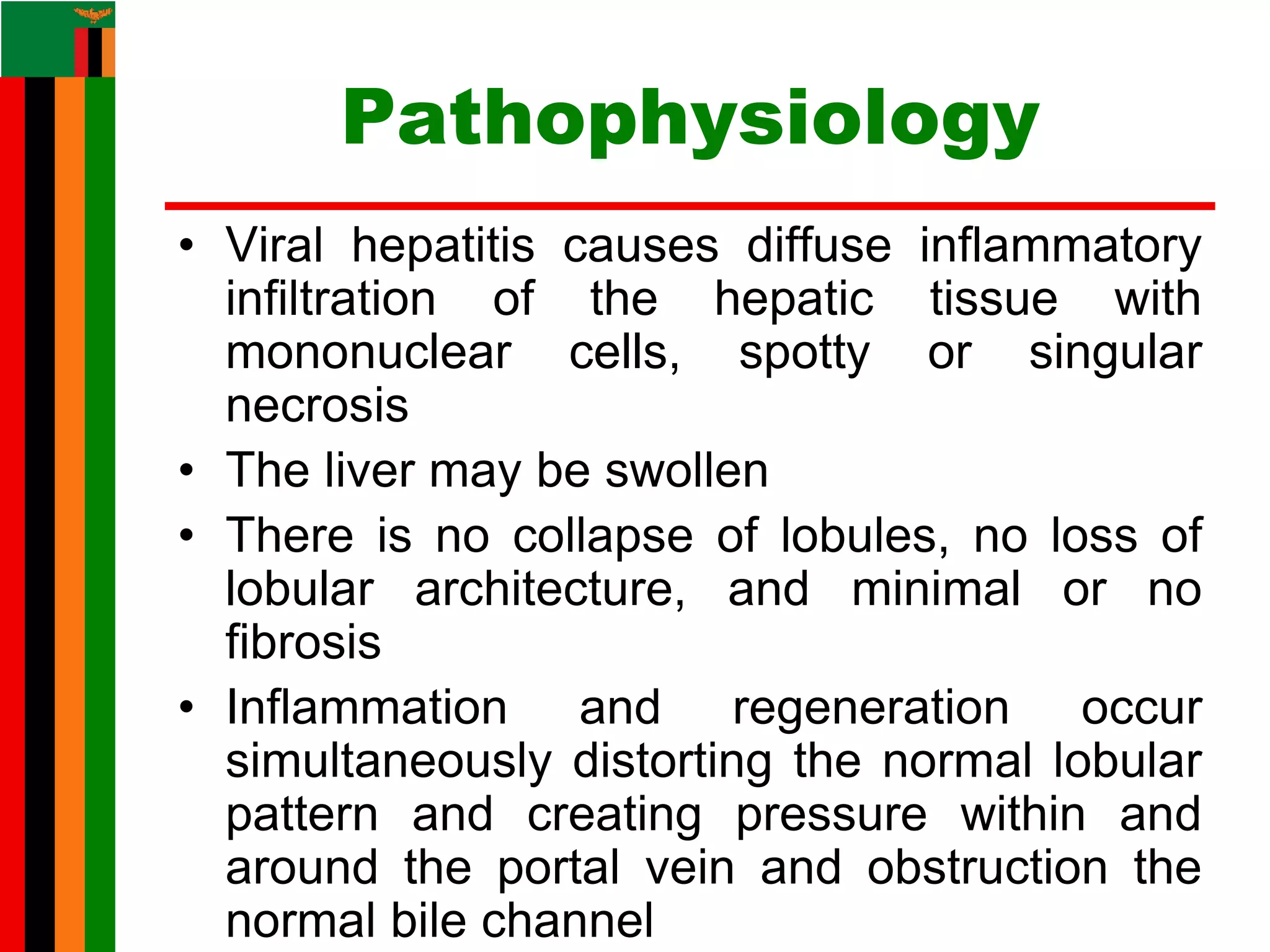 Viral hepatitis Mr Mulundano | PPT