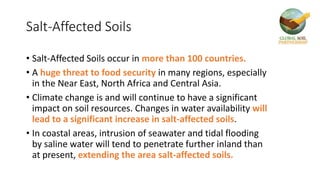 International Network on Salt-Affected Soils (INSAS) and salinity ...