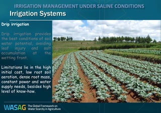 Irrigation management under saline conditions | PPTX
