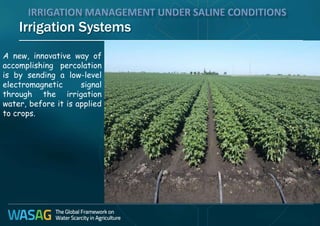 Irrigation management under saline conditions | PPTX