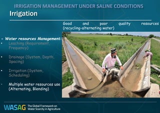 Irrigation management under saline conditions | PPTX
