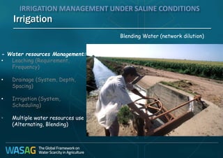 Irrigation management under saline conditions | PPTX