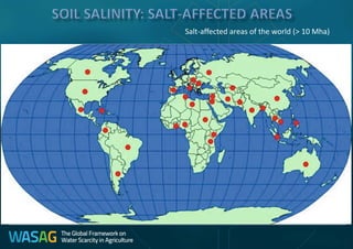 Irrigation management under saline conditions | PPTX