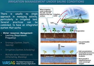 Irrigation management under saline conditions | PPTX