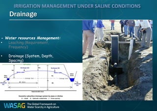 Irrigation management under saline conditions | PPTX